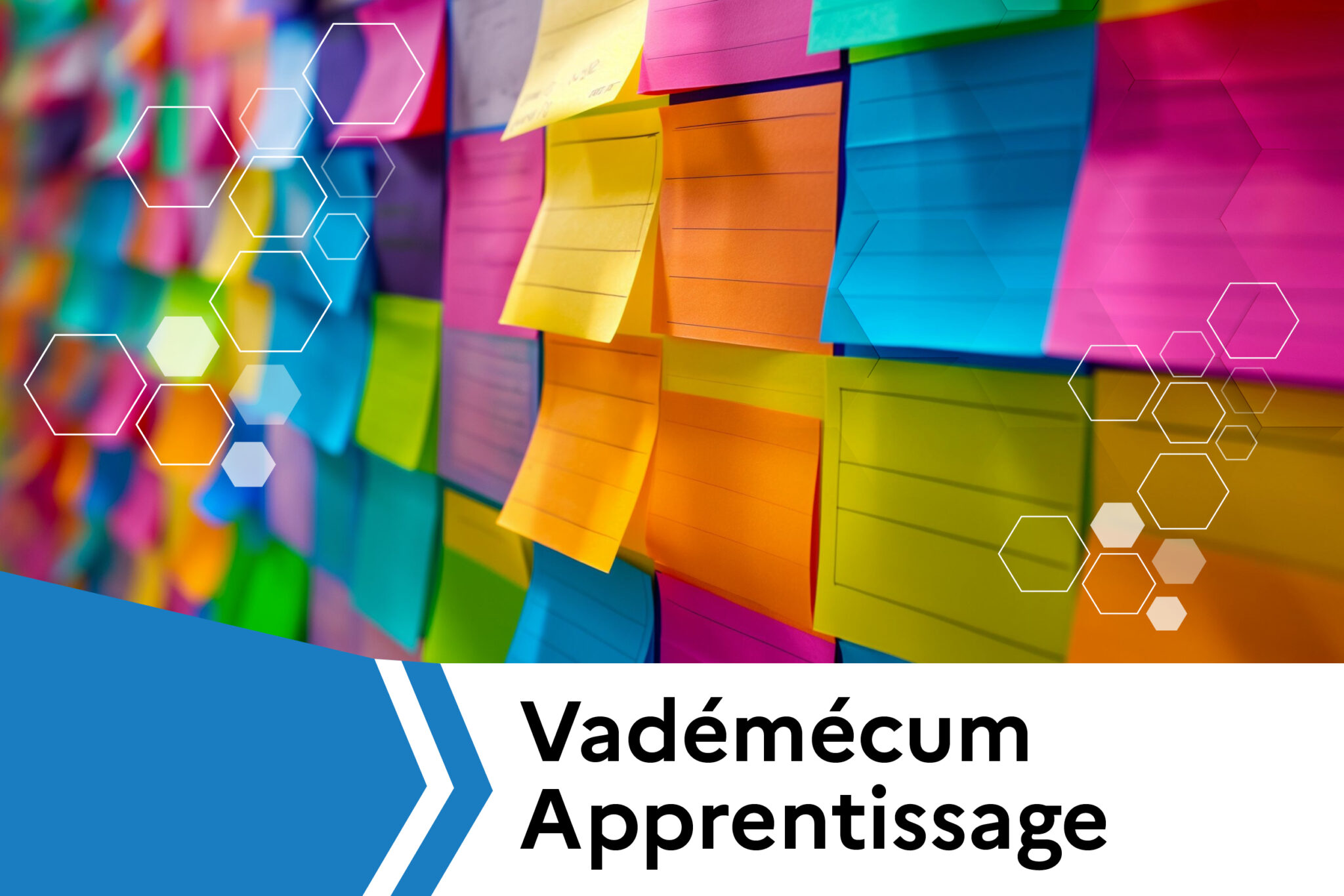 Accueil SRAFPICA Site de Bordeaux - SRA-FPICA - Site de Bordeaux