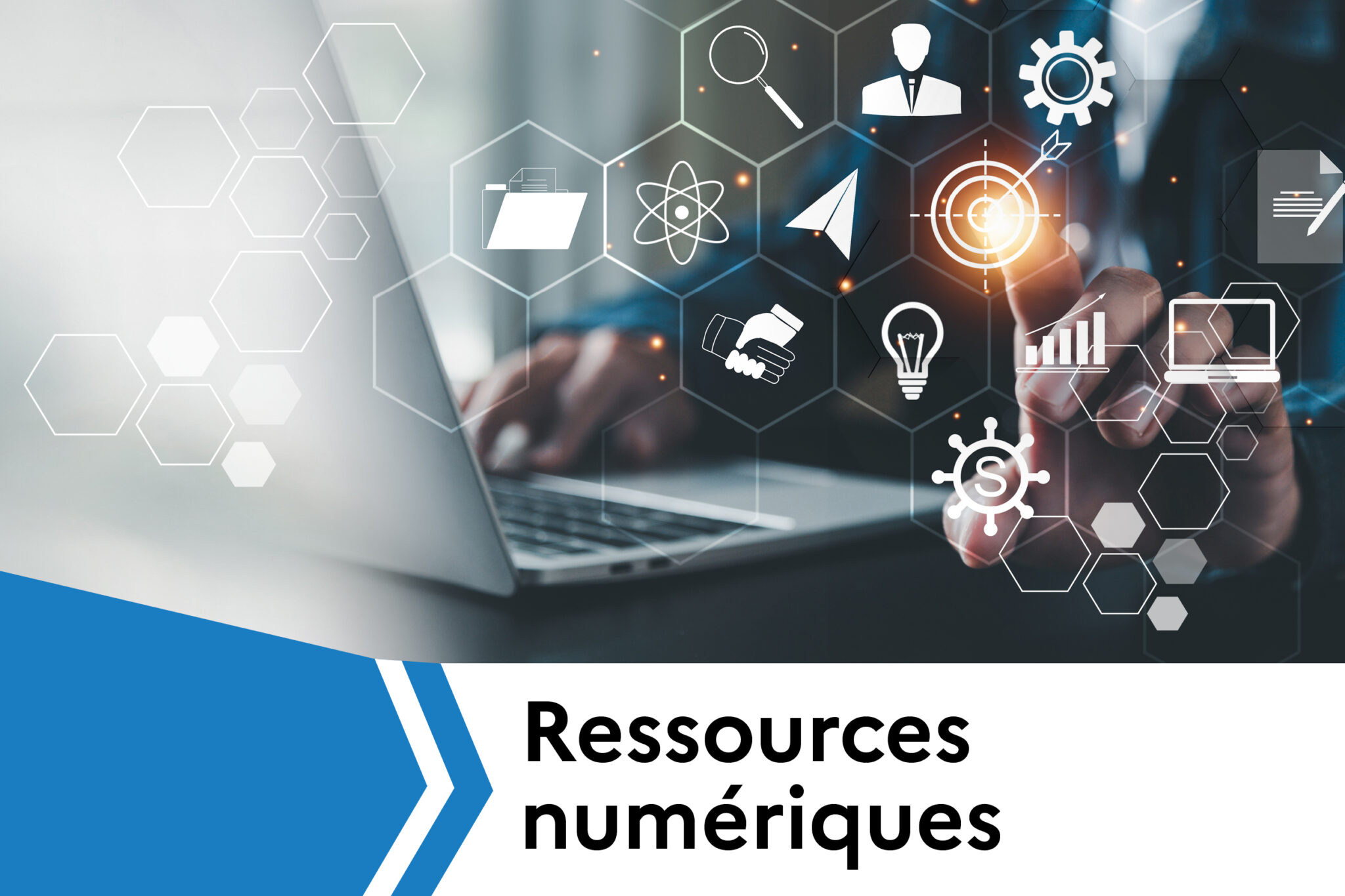 Accueil SRAFPICA Site de Bordeaux - SRA-FPICA - Site de Bordeaux